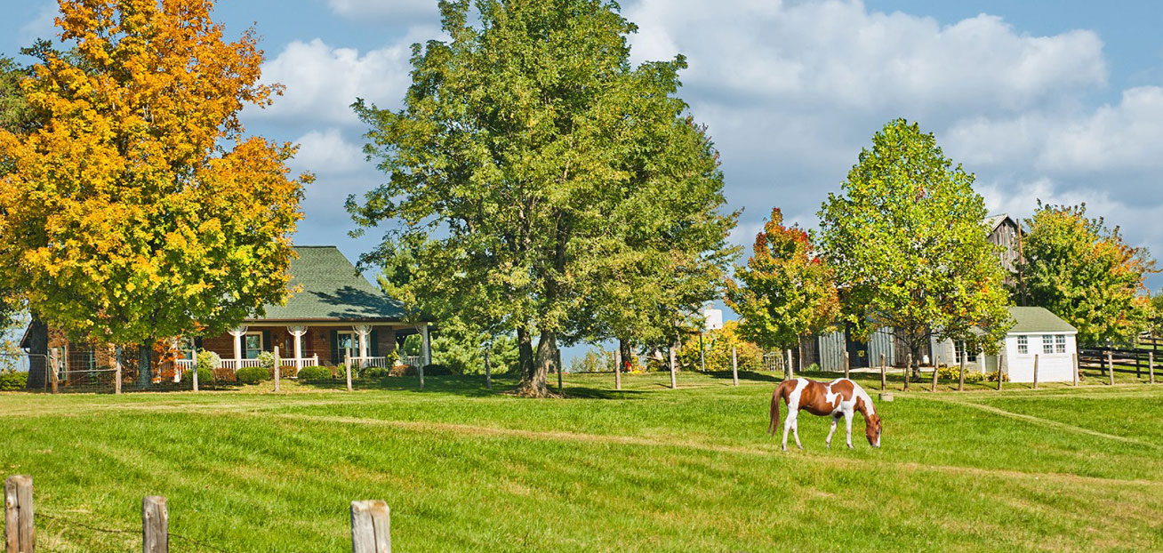 BC Farm & Ranch - Corpus Management Group